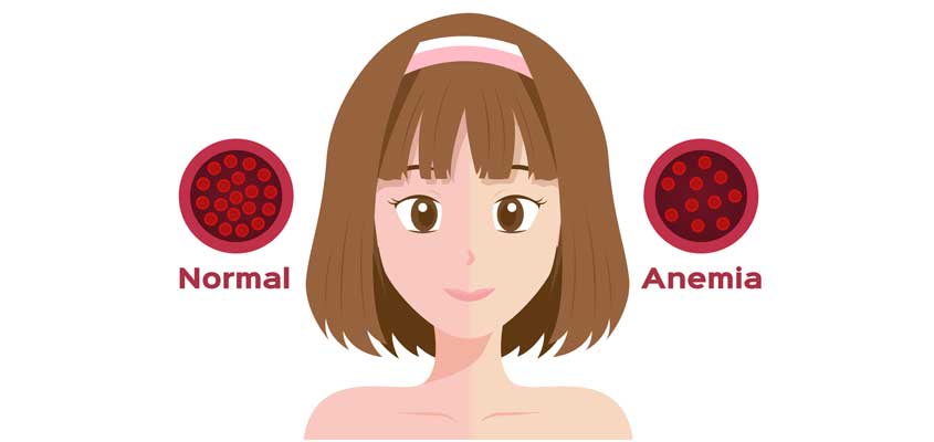 Why Anemia In Women Is More Common Magnolia Regional Health Center